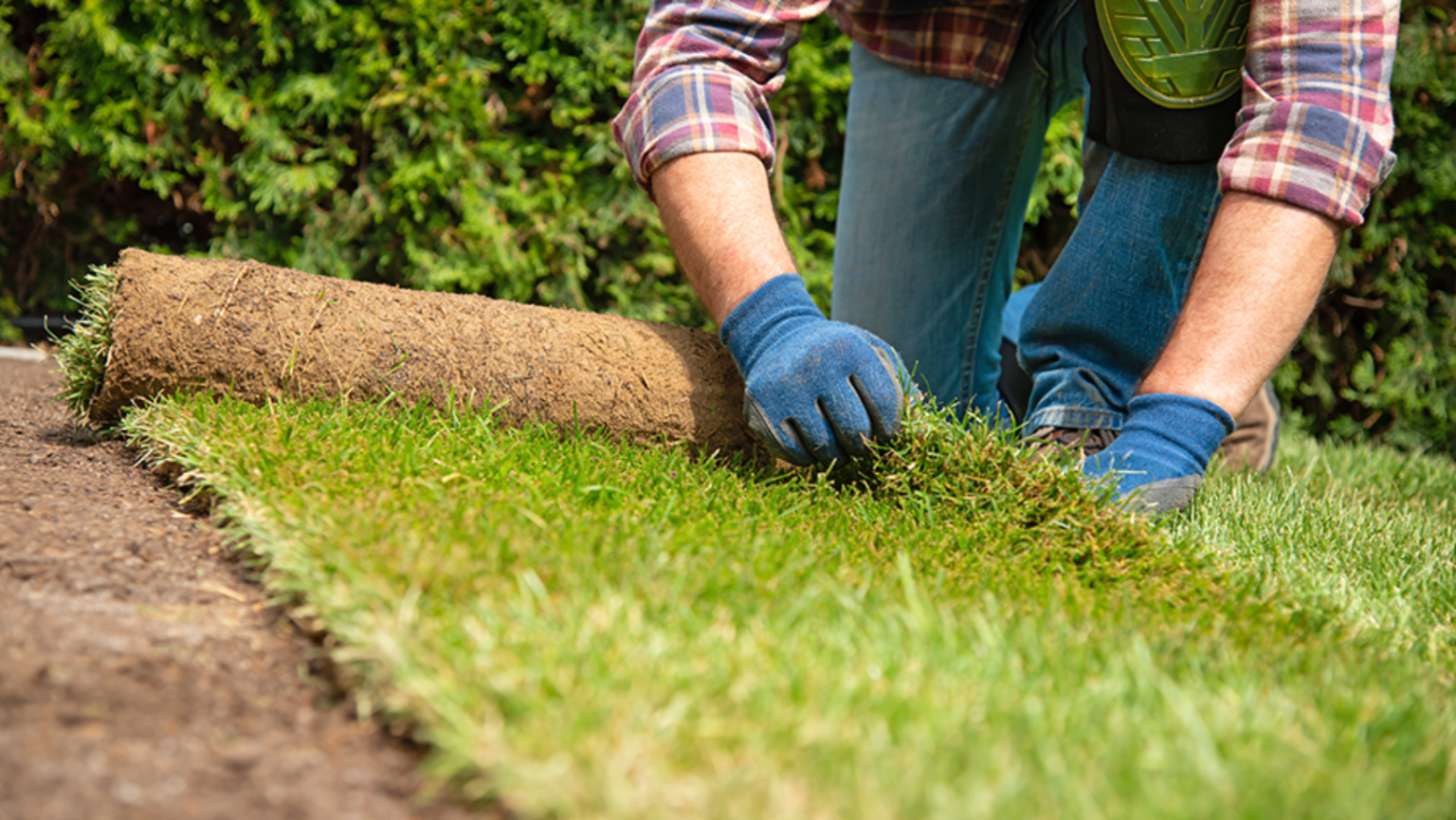 Choosing the Right Fertilizer Program for Your Lawn - Royal City ...