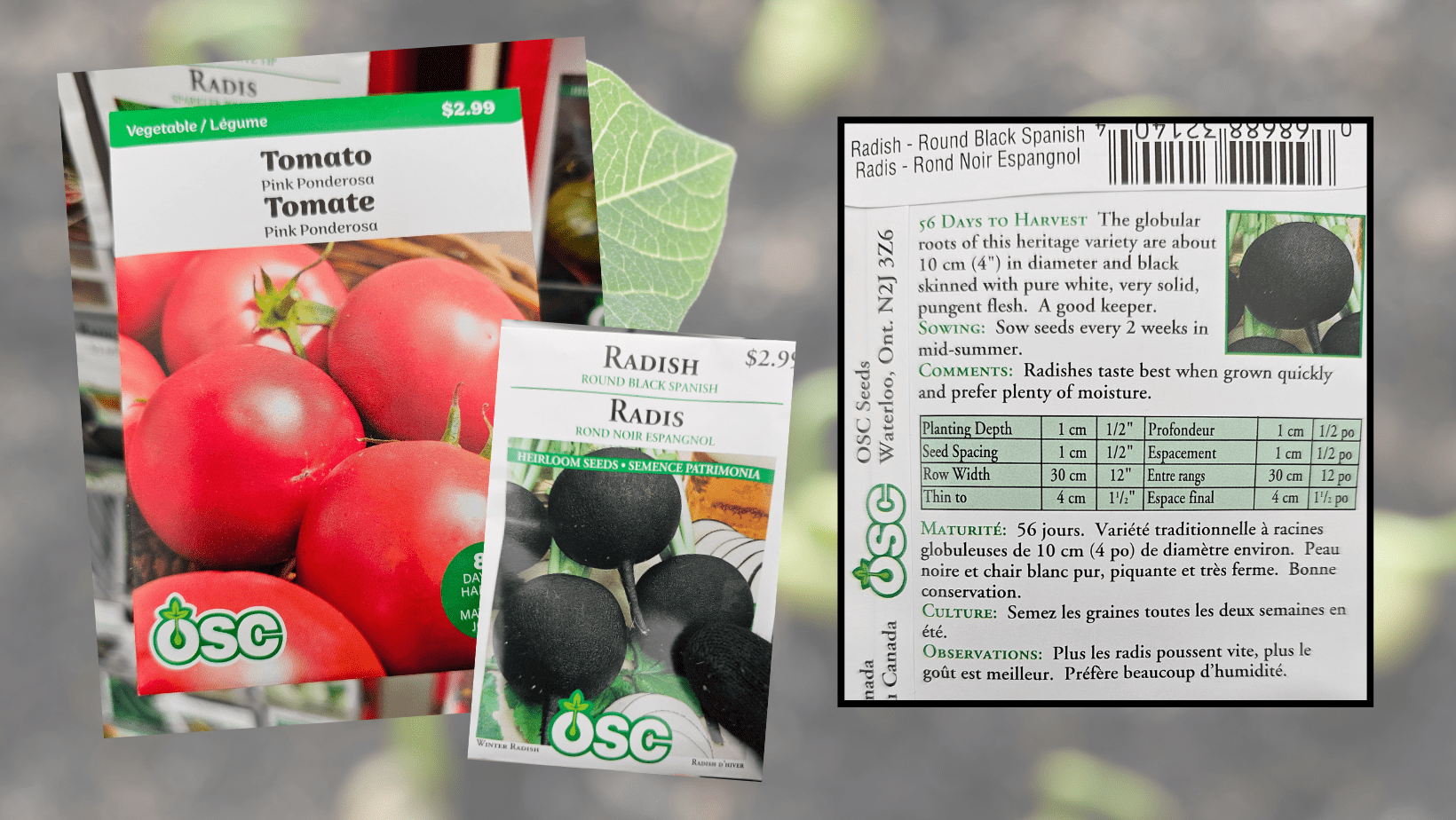 How To Read A Seed Pack - Royal City Nursery - Blog